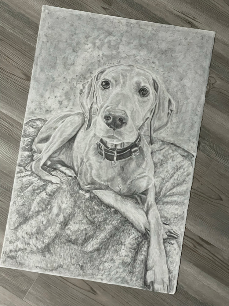 Murals, Portraits & Digital Art – Molly Brahmer Art